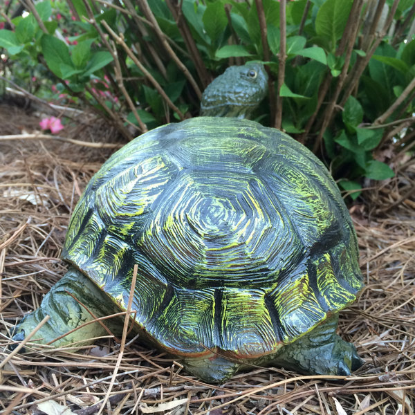 HomeStyles Call of the Wild Large Box Turtle Garden Statue & Reviews | Wayfair